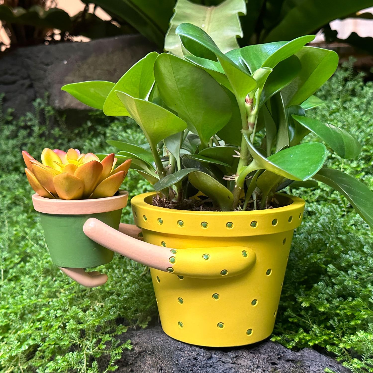 Amazon.com : LRYANT Adorable Indoor Plant Pots, 4.52" Flower Pot & 1.87 ...