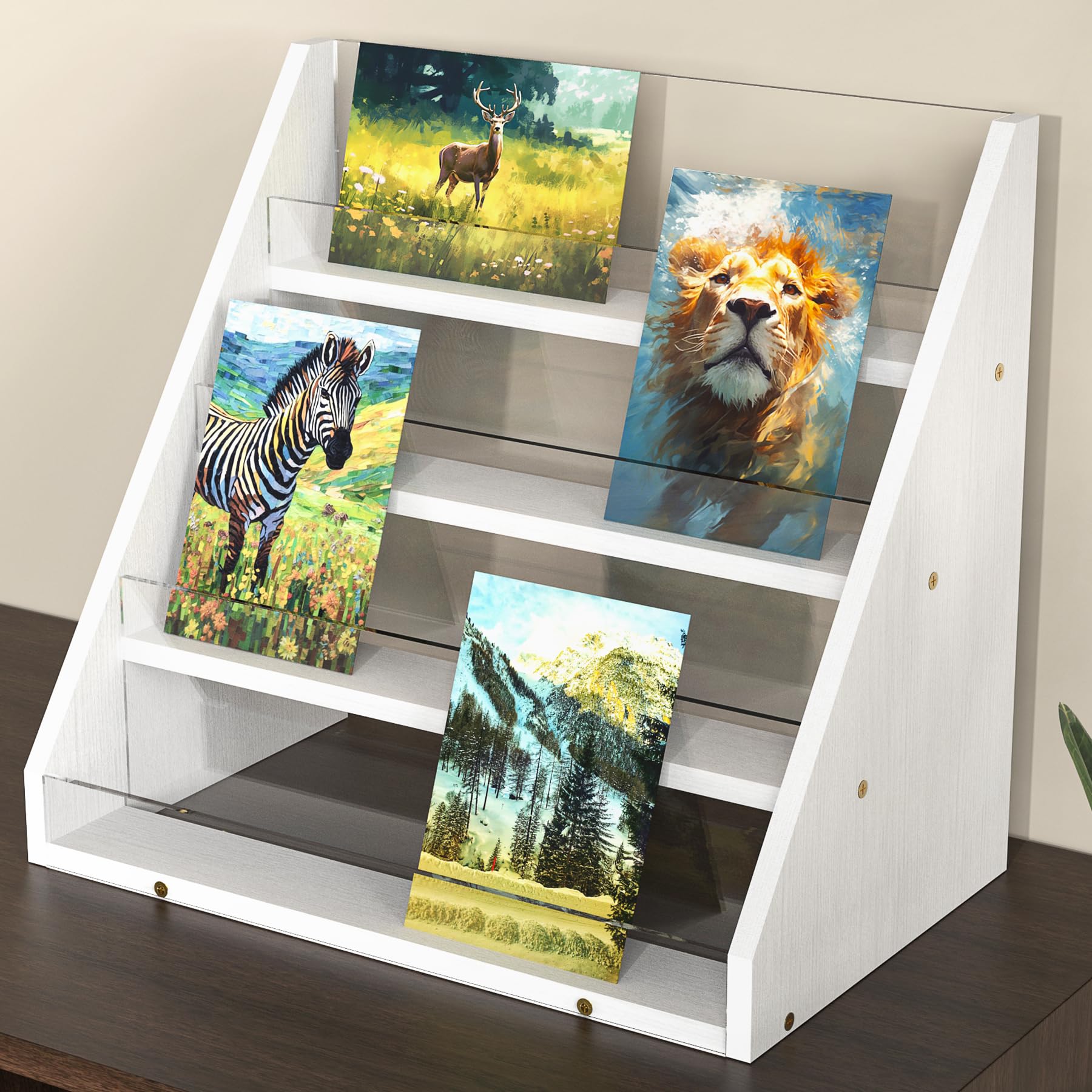 Amazon.com : NiHome 4-Tier Bamboo & Acrylic Greeting Card Display Stand ...