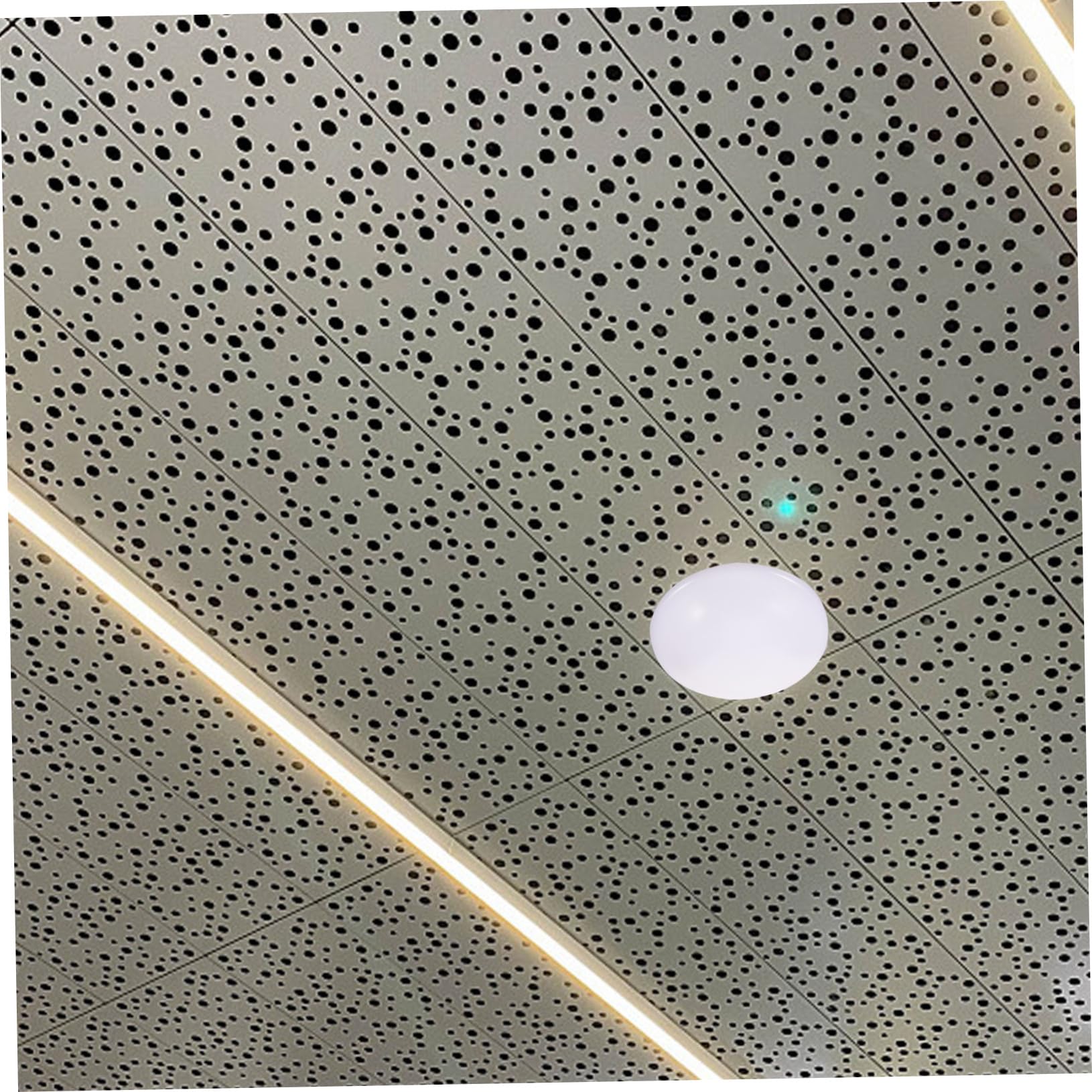 Plastic Replacement Ceiling Light Protection Ceiling Light Cover