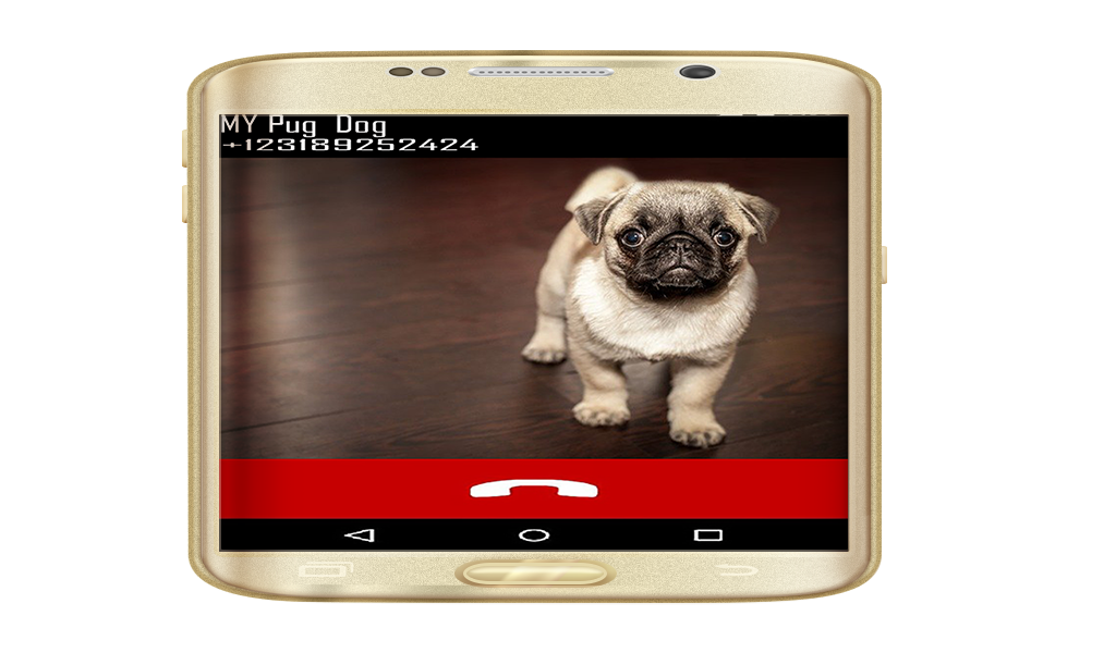 Pug Fake Call Prank ( Funny Pet Calling Prank ) - Gag fake Call from ...