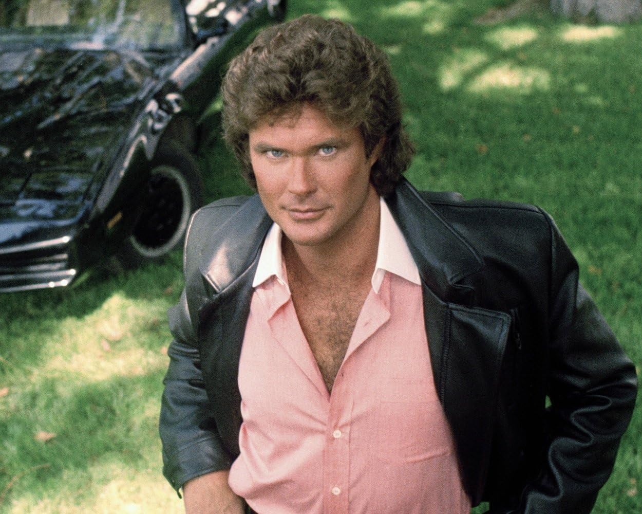 Amazon.com: David Hasselhoff / Knight Rider 8 x 10 GLOSSY Photo Picture ...