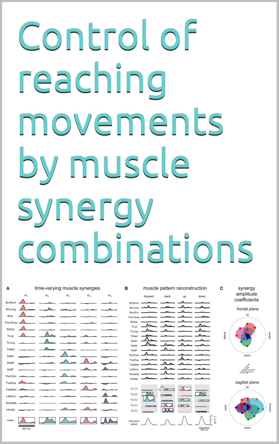 Amazon.com: Control of reaching movements by muscle synergy ...
