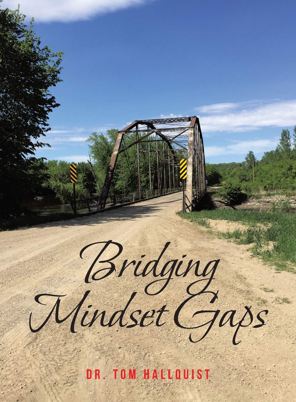 Bridging Mindset Gaps: Dr Tom Hallquist: 9781644689769: Amazon.com: Books