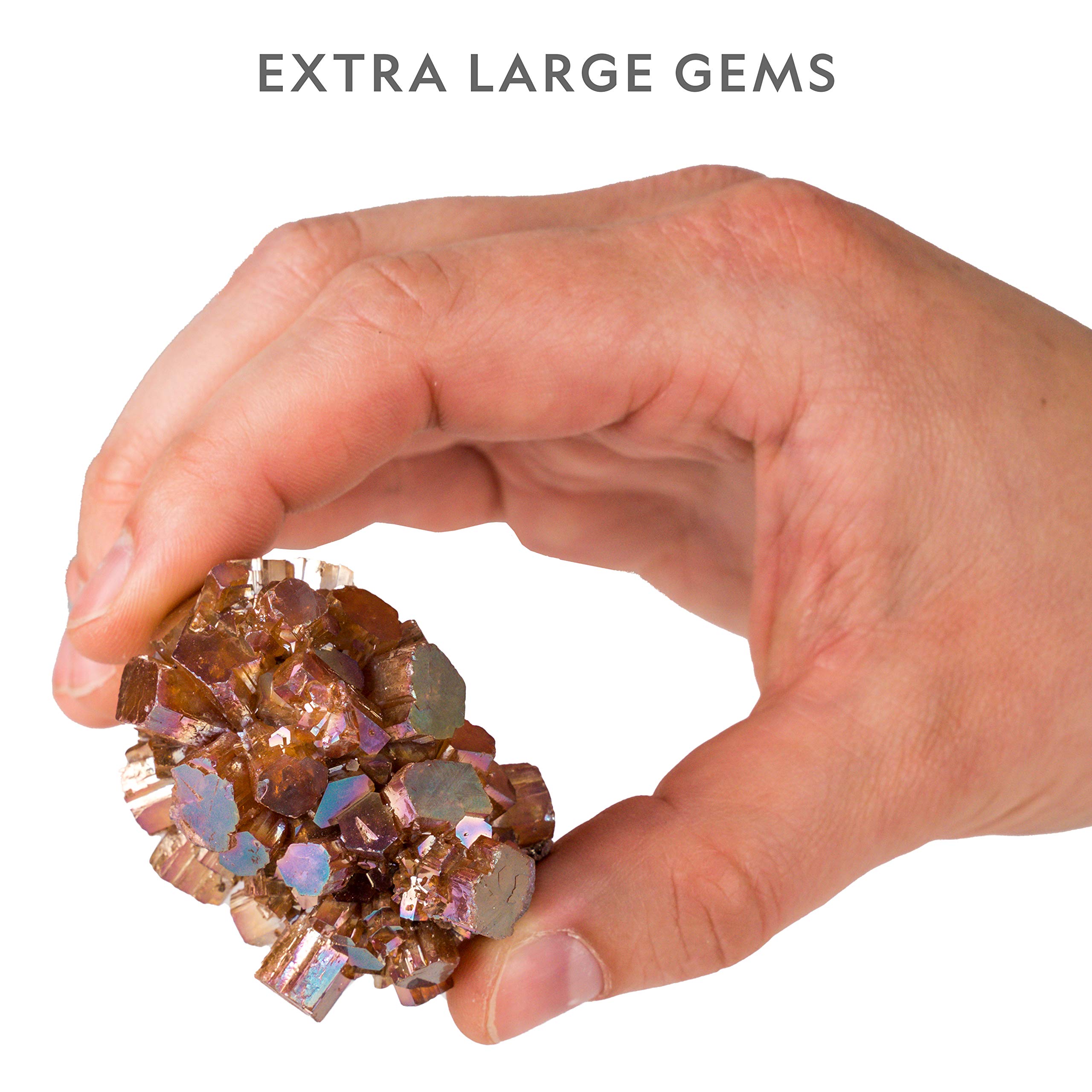 NATIONAL GEOGRAPHIC Jumbo Rock Collection - 11 Extra Large Rocks ...