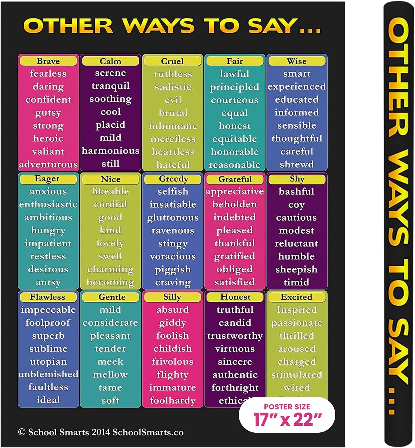 Amazon.com : School Smarts 17” x 22 Laminated Synonyms Wall Poster for ...