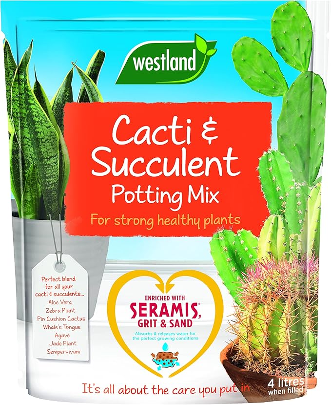 Westland Cacti/Succulent Potting Compost Mix and Enriched with Seramis ...