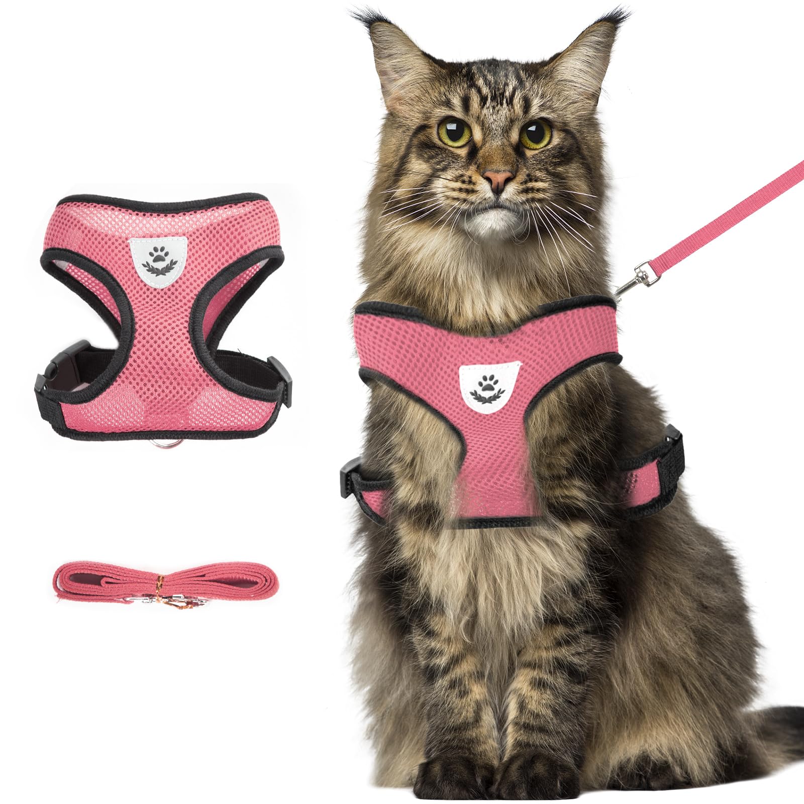 Pet Supplies : shudyear Summer cat Chest Harness and Leash, Anti-Escape ...
