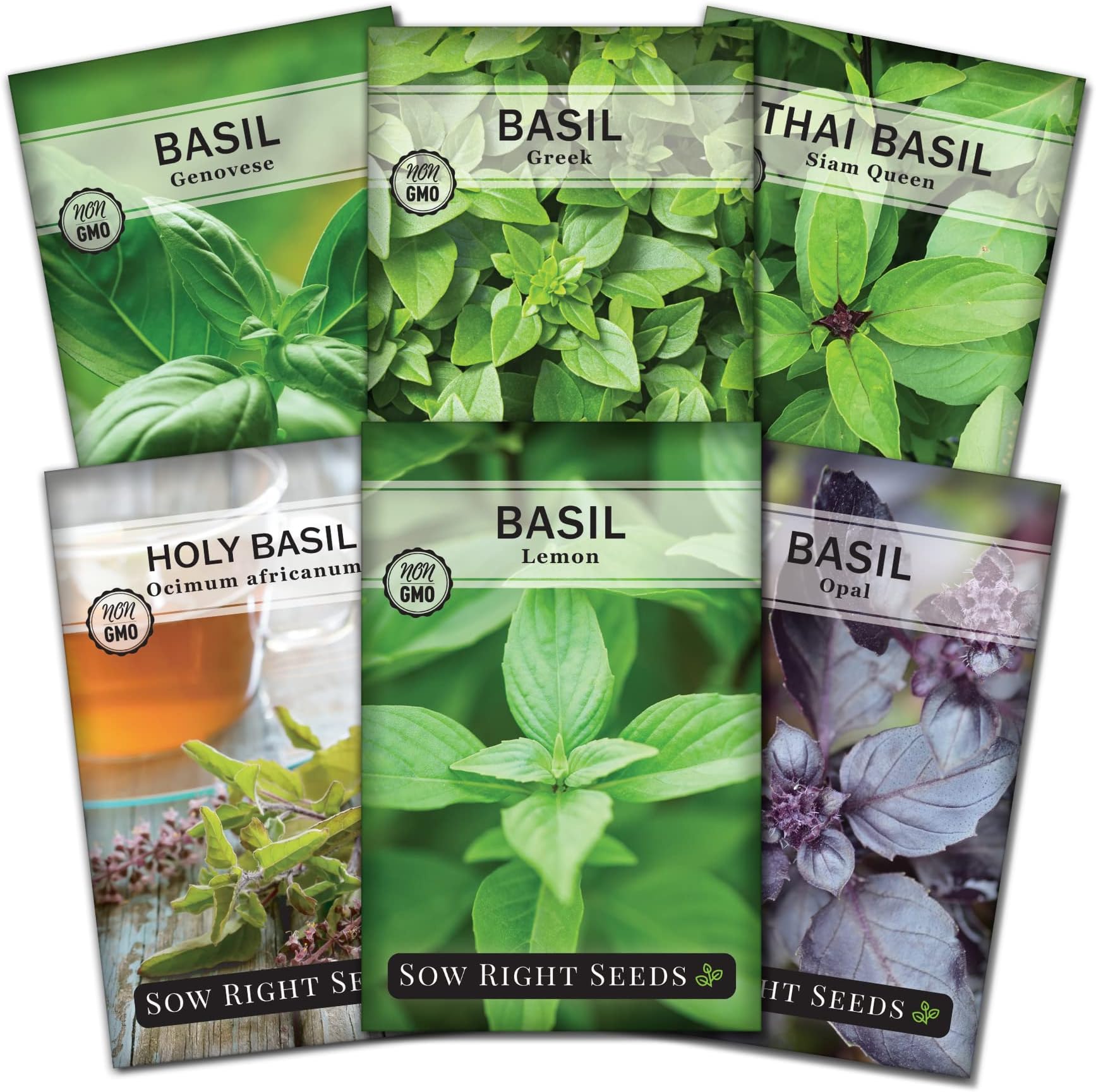 Amazon.com : TAJ Premium Indian Tukmaria Seed (Sweet Basil Seeds, Tulsi ...