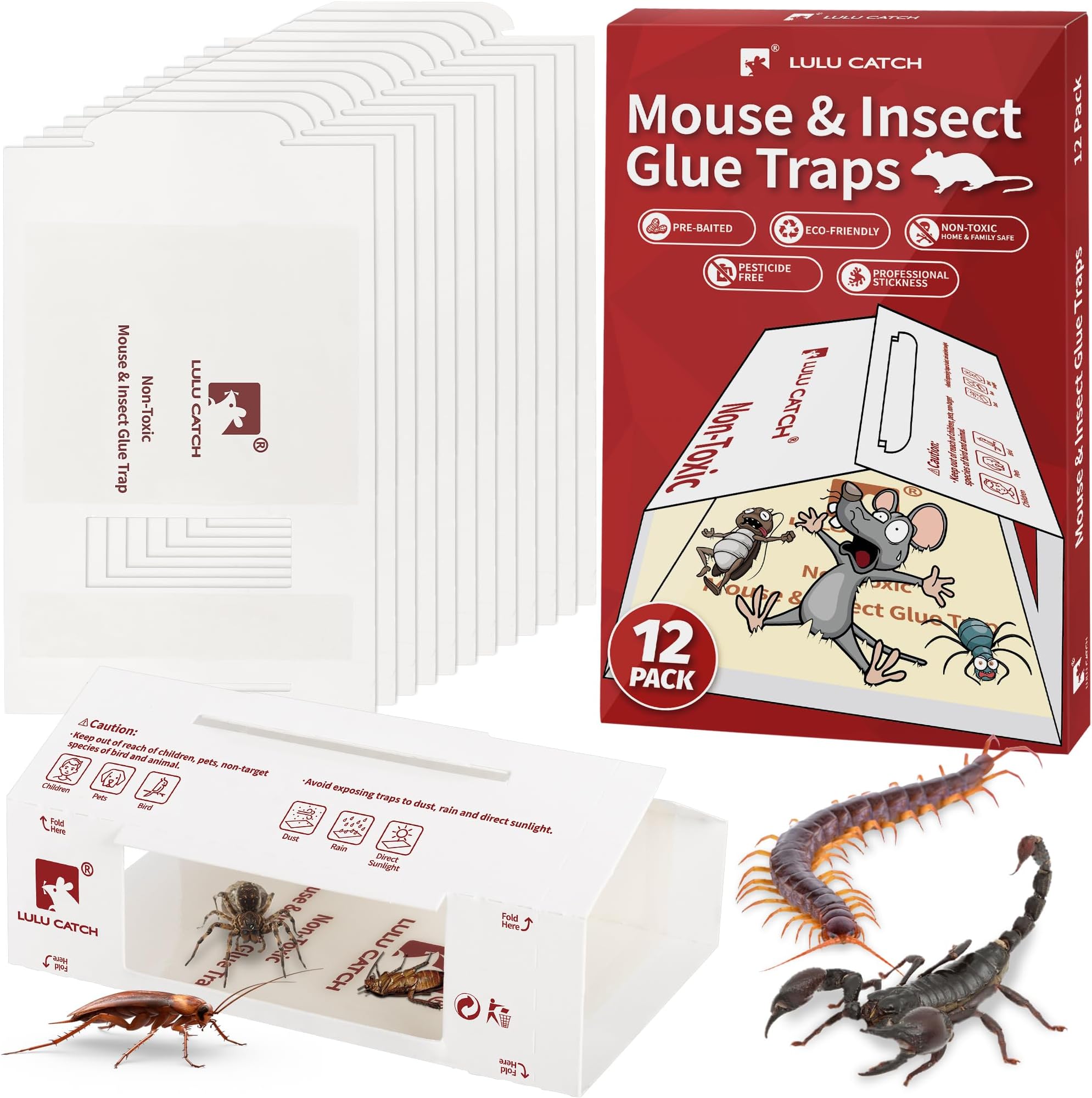 Amazon.com : Bug Shield Sticky Glue Traps 12 Glue Boards, All Types of ...