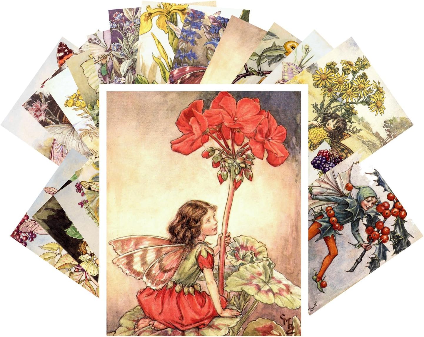 Amazon.com : PIXILUV Vintage PostCards 24 pcs Flower Fairy Vintage ...