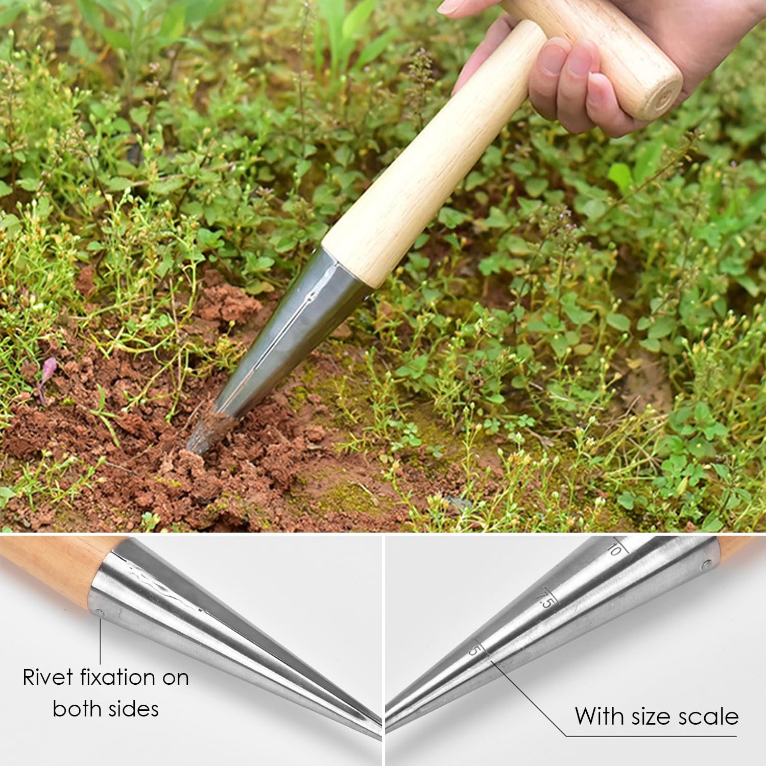 1 Piece Stainless Steel Seeder, Seeding Tools, Planting Tools, Flower ...