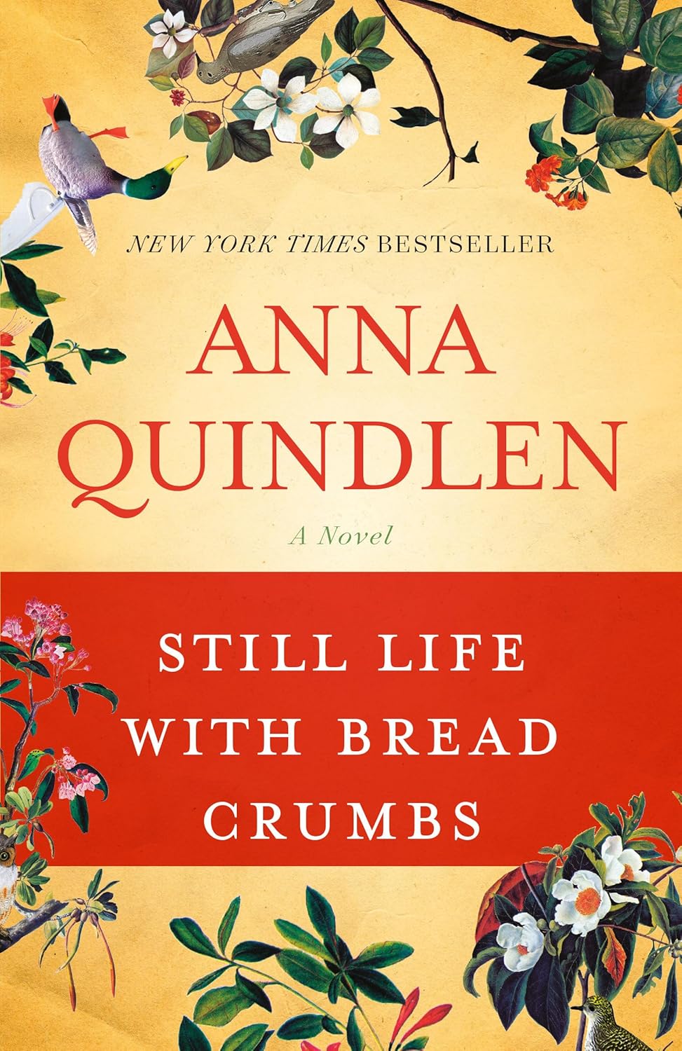 Amazon.com: Still Life with Bread Crumbs: A Novel: 9780812976892 ...