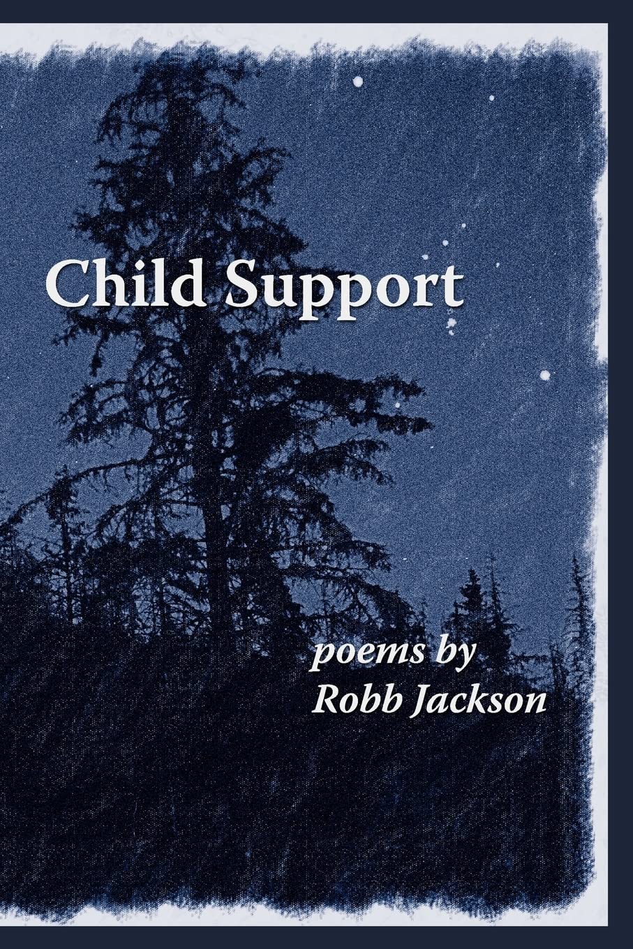 Child Support: Jackson, Robb, Jackson, Benjamin: 9781453732090: Amazon ...