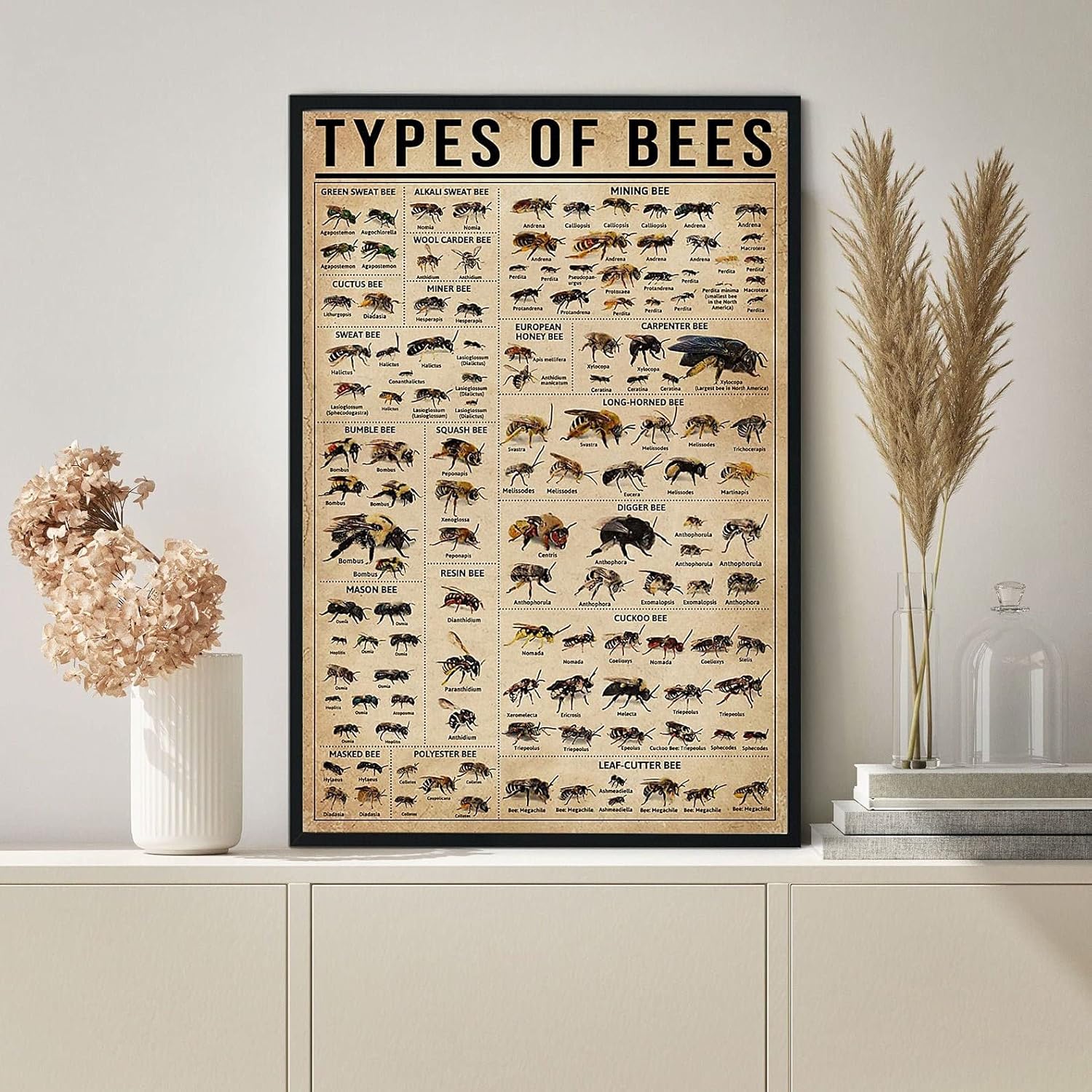 Amazon.com: Bee Types Vertical Poster- Types Of Bee Poster- Knowledge ...