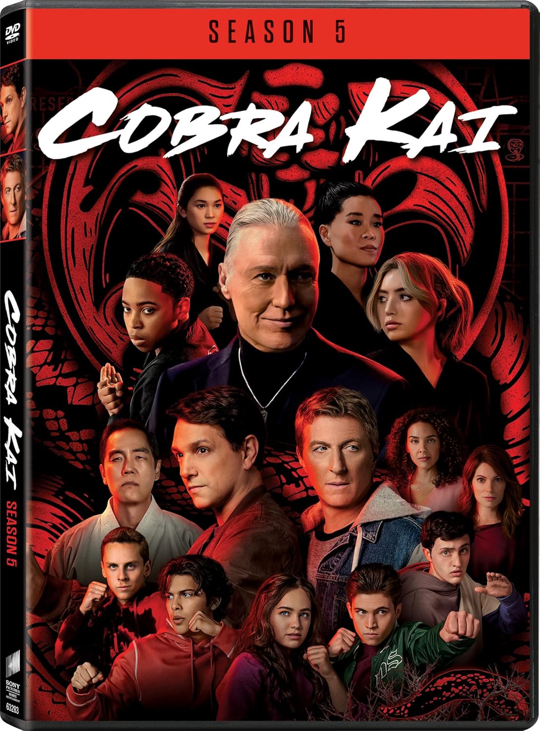 Cobra Kai - Season 05: Amazon.ca: Ralph Macchio, William Zabka ...