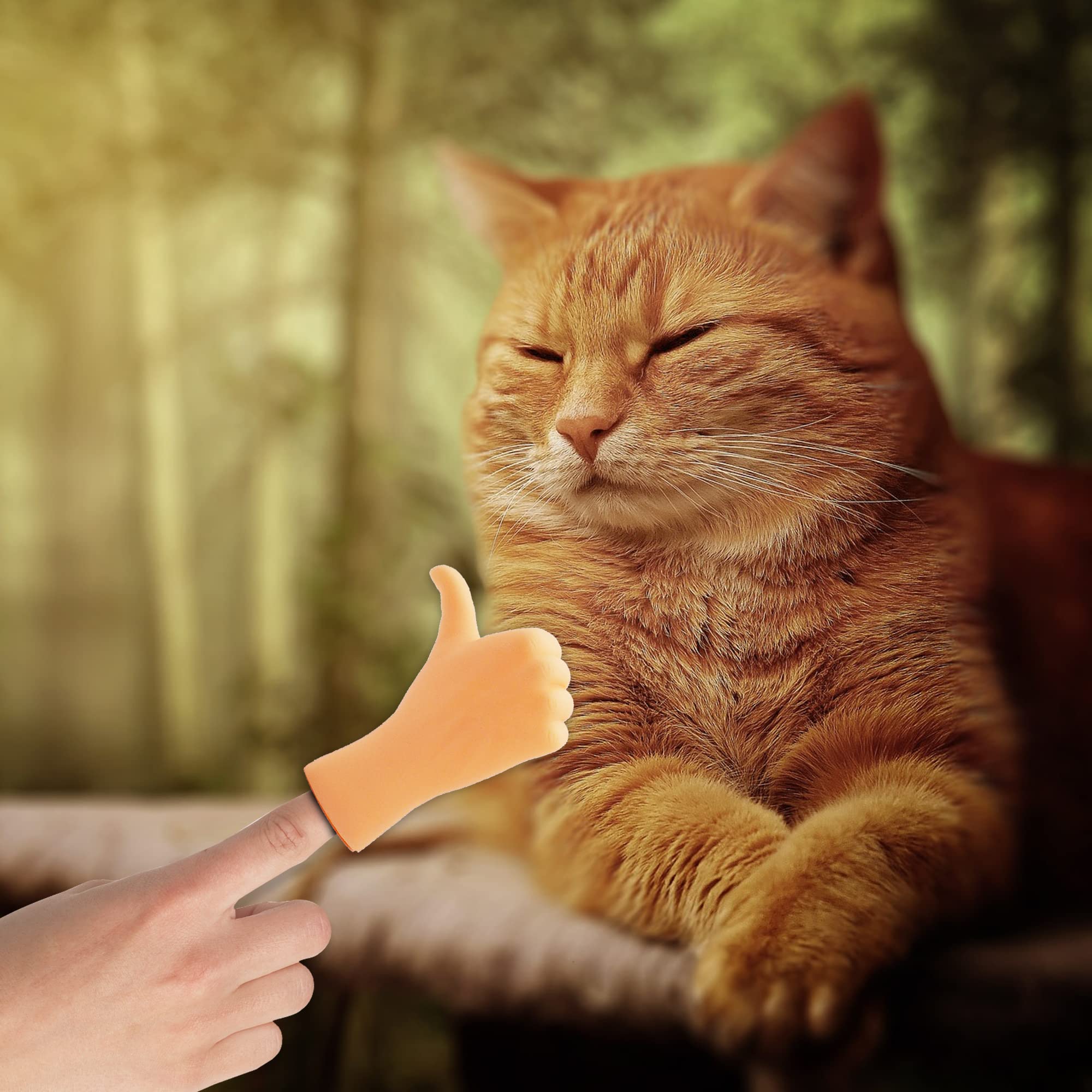 Snapklik.com : AQKILO Tiny Hands Miniature Finger Puppets