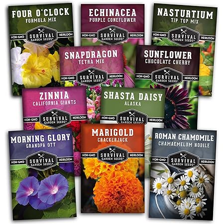 Amazon.com : 10 Flower Collection - Four O’Clock, Chamomile, Shasta ...