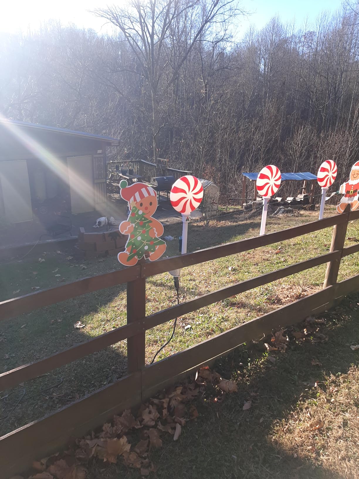 Amazon.com : AnyDesign 10Pcs Christmas Gingerbread Man Yard Sign with ...