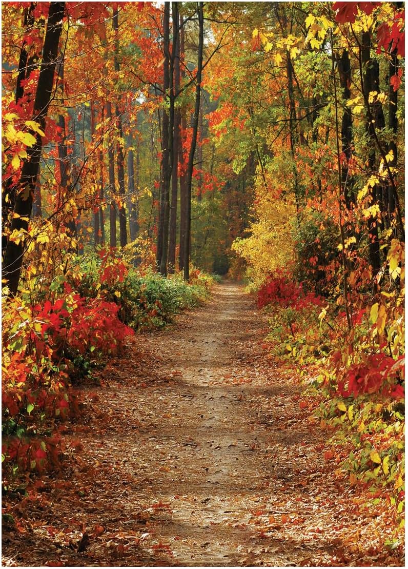 Amazon.com : WOLADA Autumn Fall Natural Landscape Photo Backdrop Forest ...