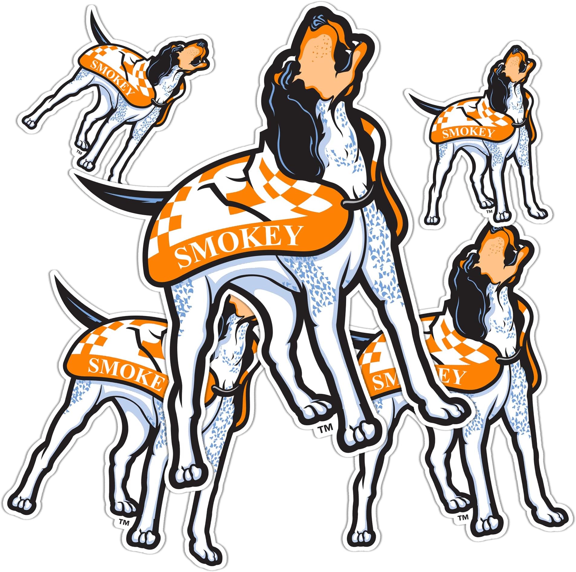 Amazon.com: Desert Cactus University of Tennessee Sticker UT Knoxville ...