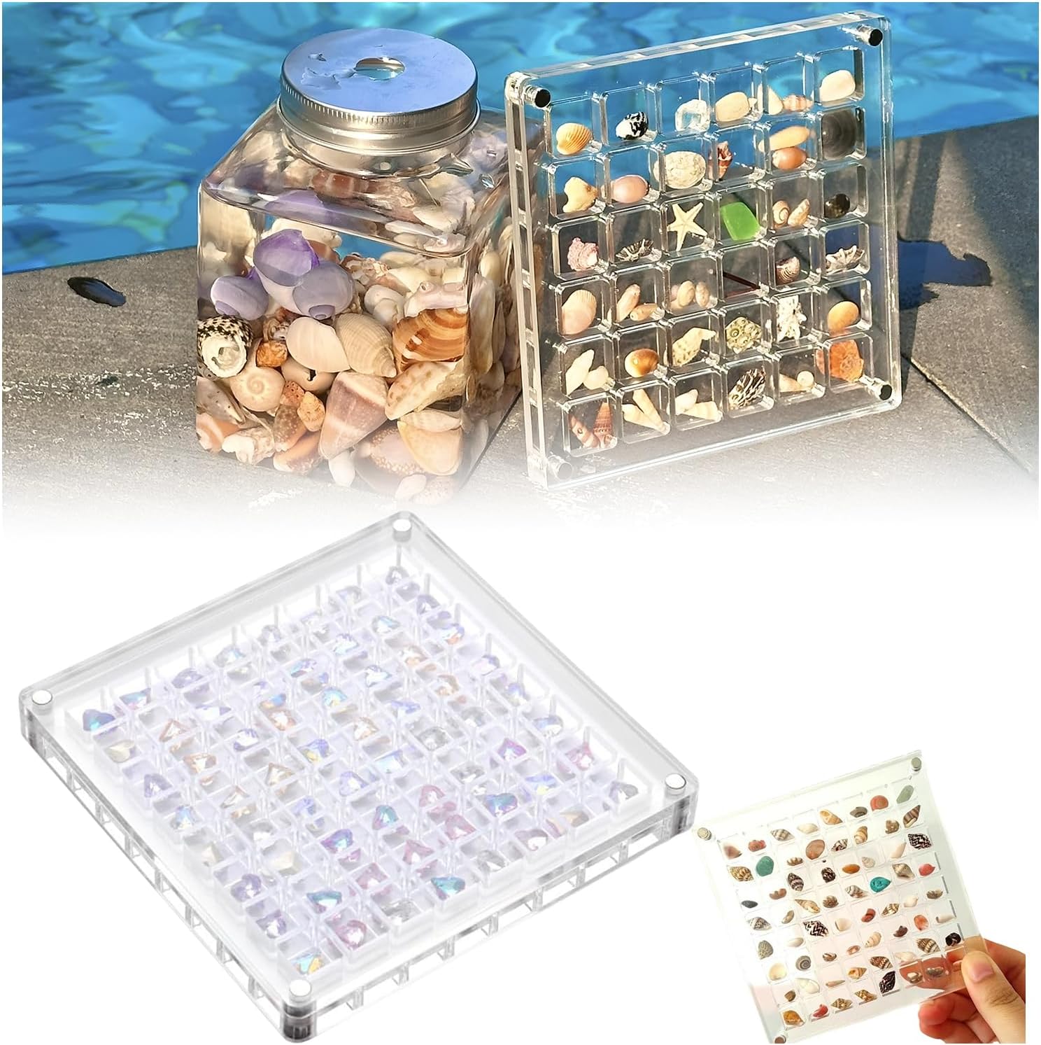 Amazon.com: OVLADA 2024 New Acrylic Magnetic Seashell Display Box ...