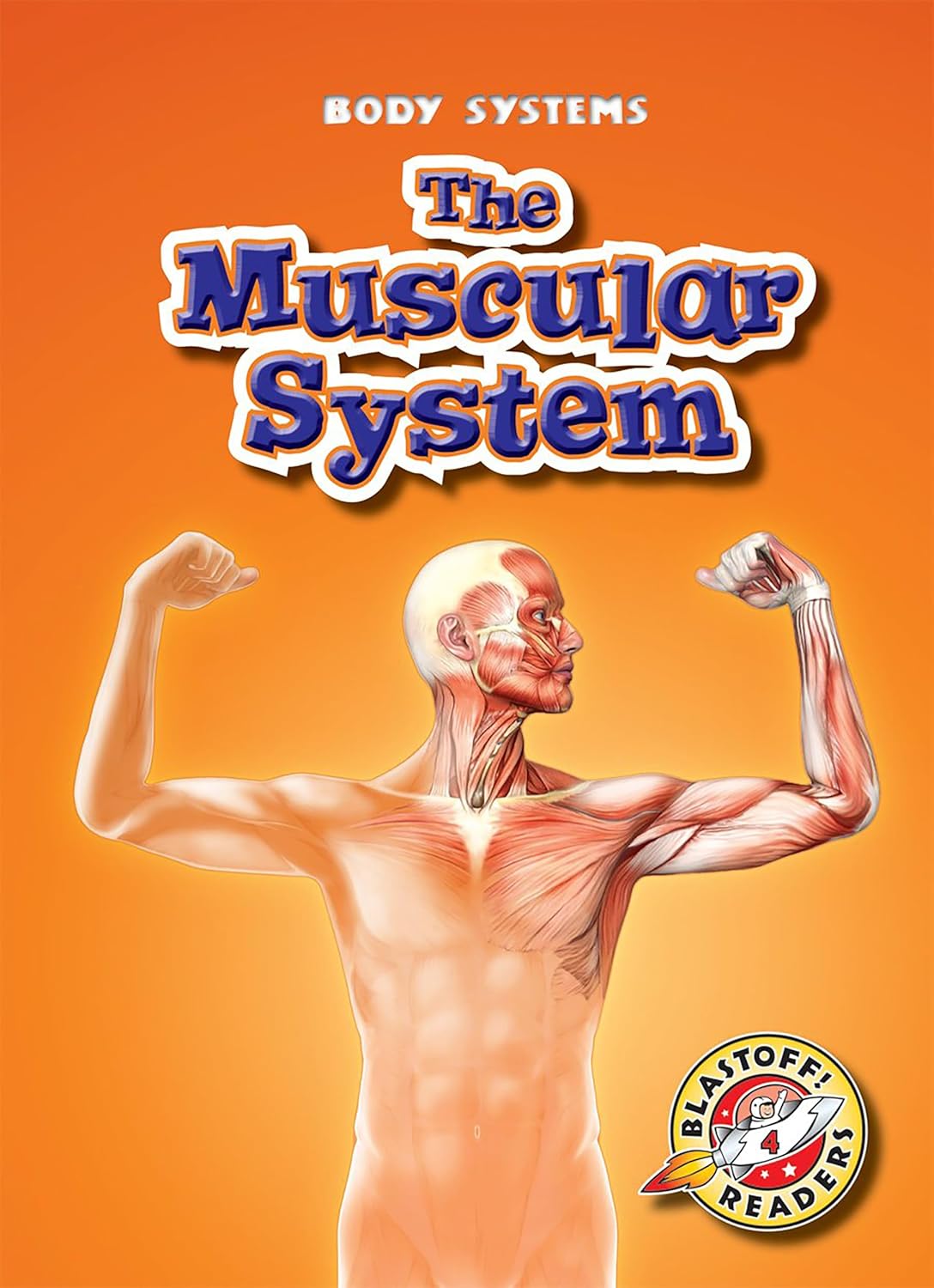 Buy The Muscular System (Blastoff Readers. Level 4) Book Online at Low ...