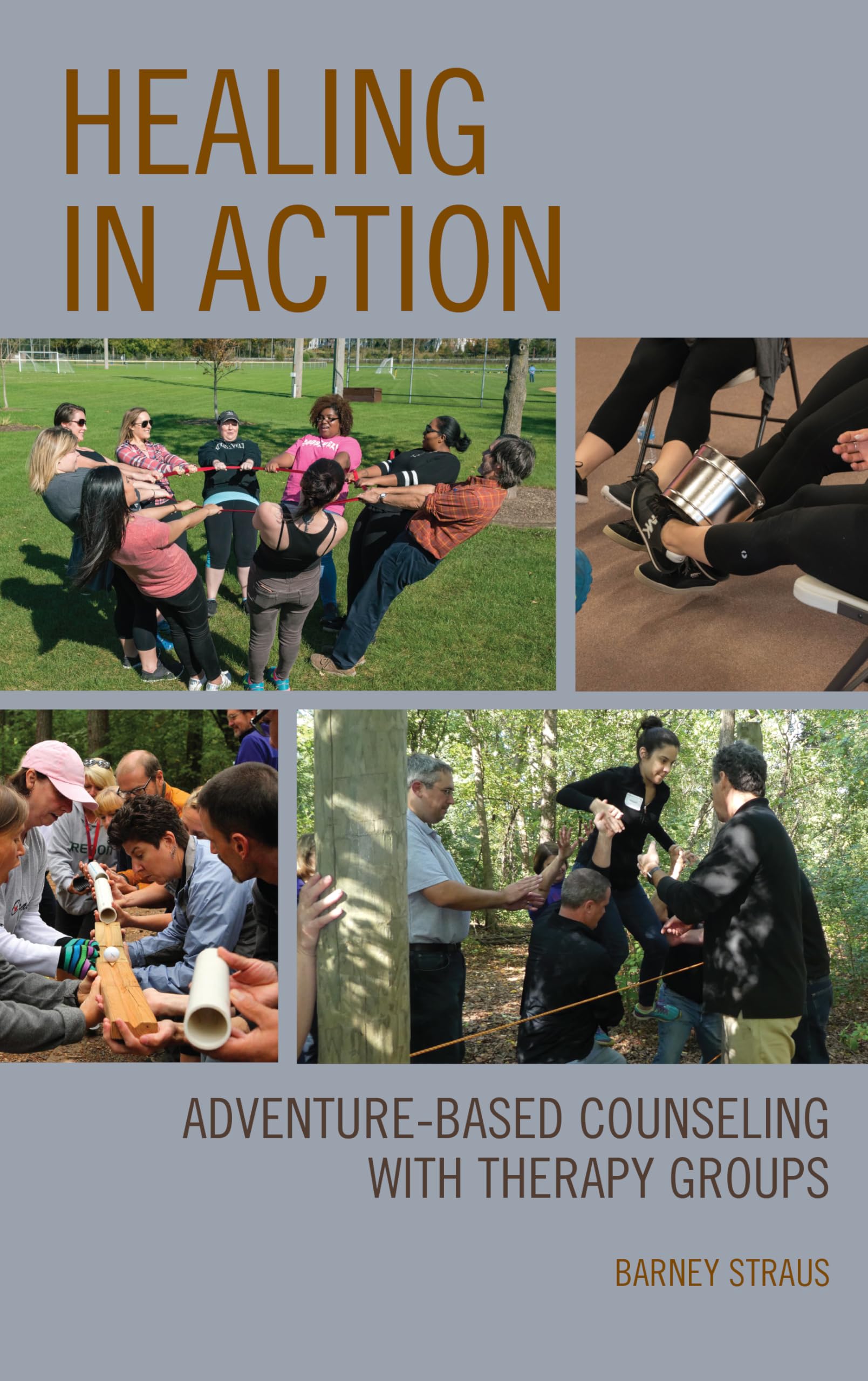 Healing in Action: Adventure-Based Counseling with Therapy Groups ...