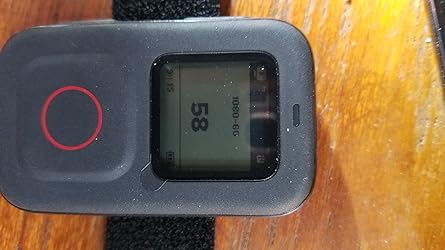 Amazon.com : GoPro The Remote - Official GoPro Accessory : Electronics