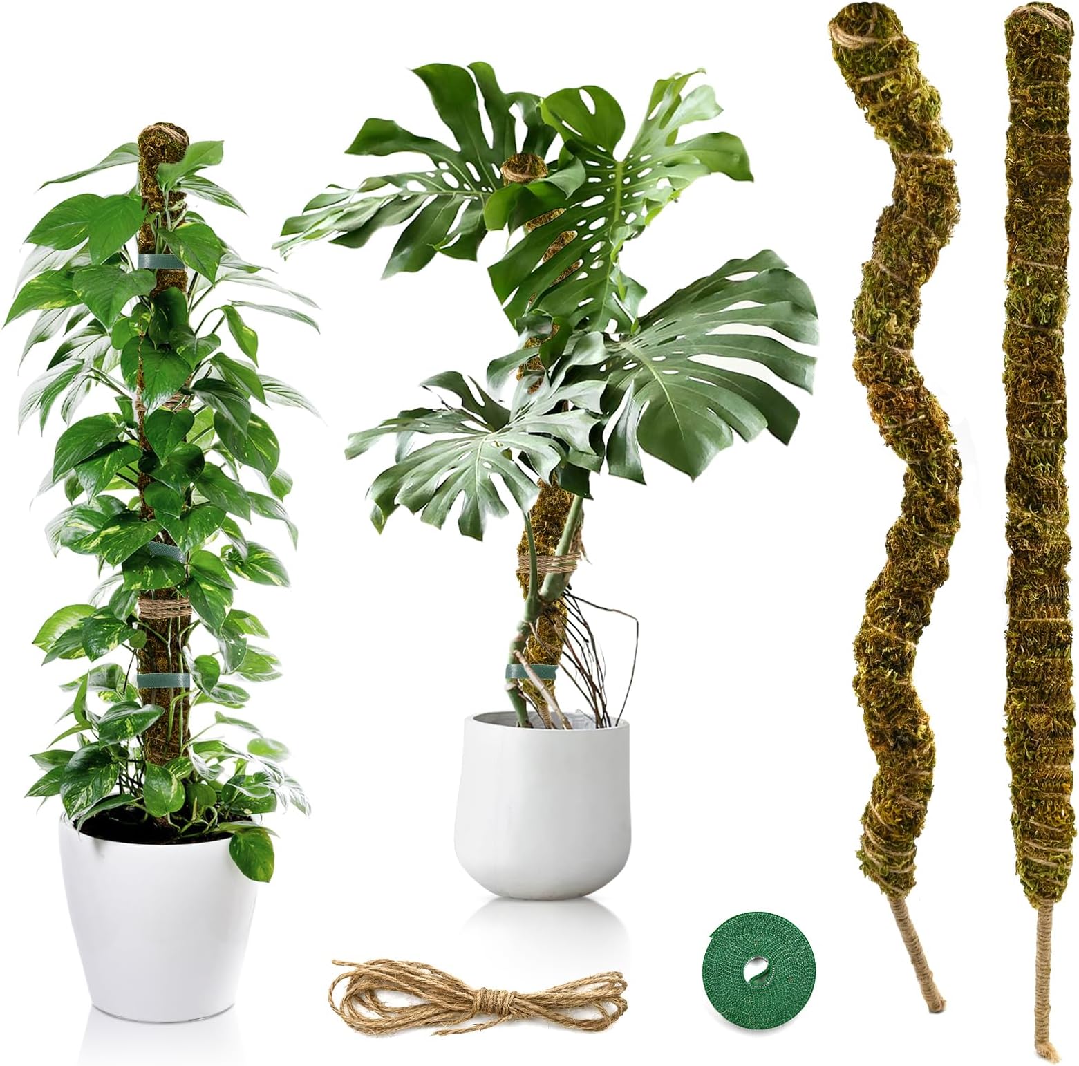 2Pcs 60 CM Tuteur Plante Grimpante Pliables pour Plantes Grimpantes ...