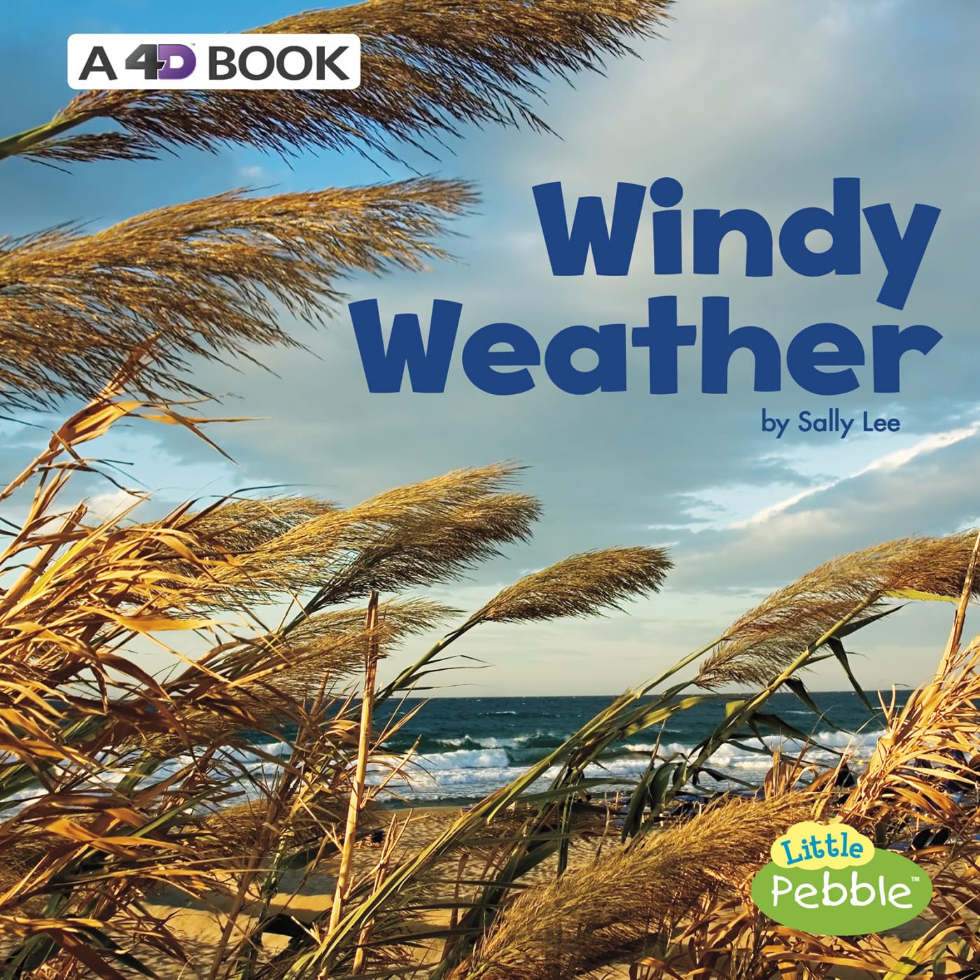 Windy Weather: A 4D Book (All Kinds of Weather): Lee, Sally ...