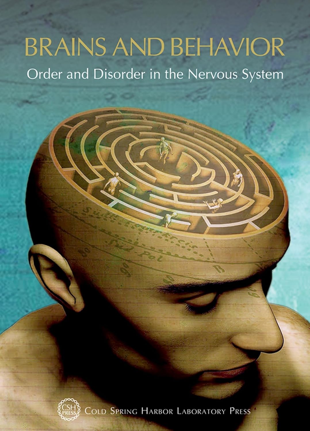 Amazon | Brains and Behavior: Order and Disorder in the Nervous System ...