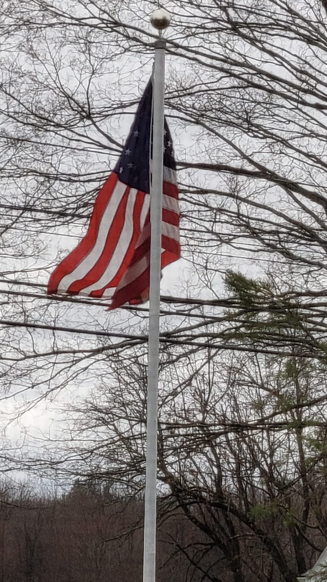 Amazon.com: RUSON 50 Feet 1/4 Inch Wire Center Flag Pole Rope and Clips ...