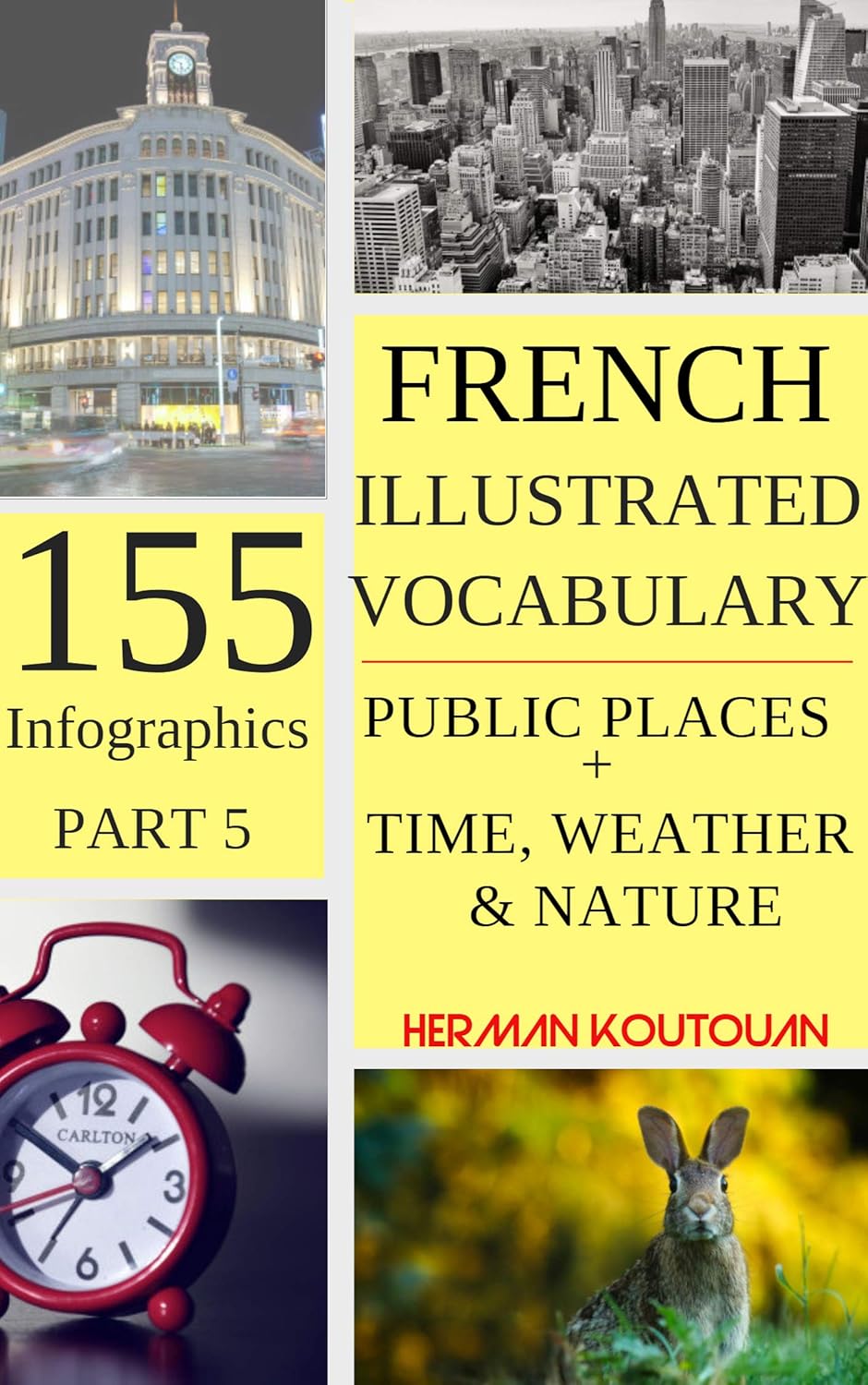 French Illustrated Vocabulary: 155 Stunning Infographics - Part 5 ...