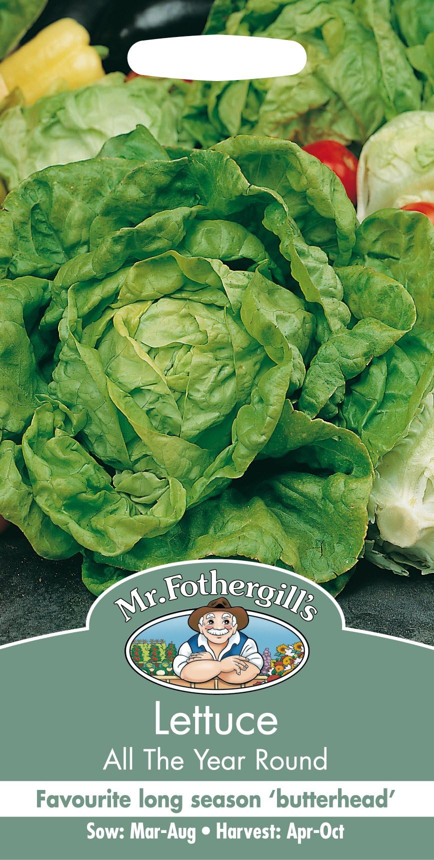Mr Fothergill's 13534 Vegetable Seeds, Green : Amazon.co.uk: Garden