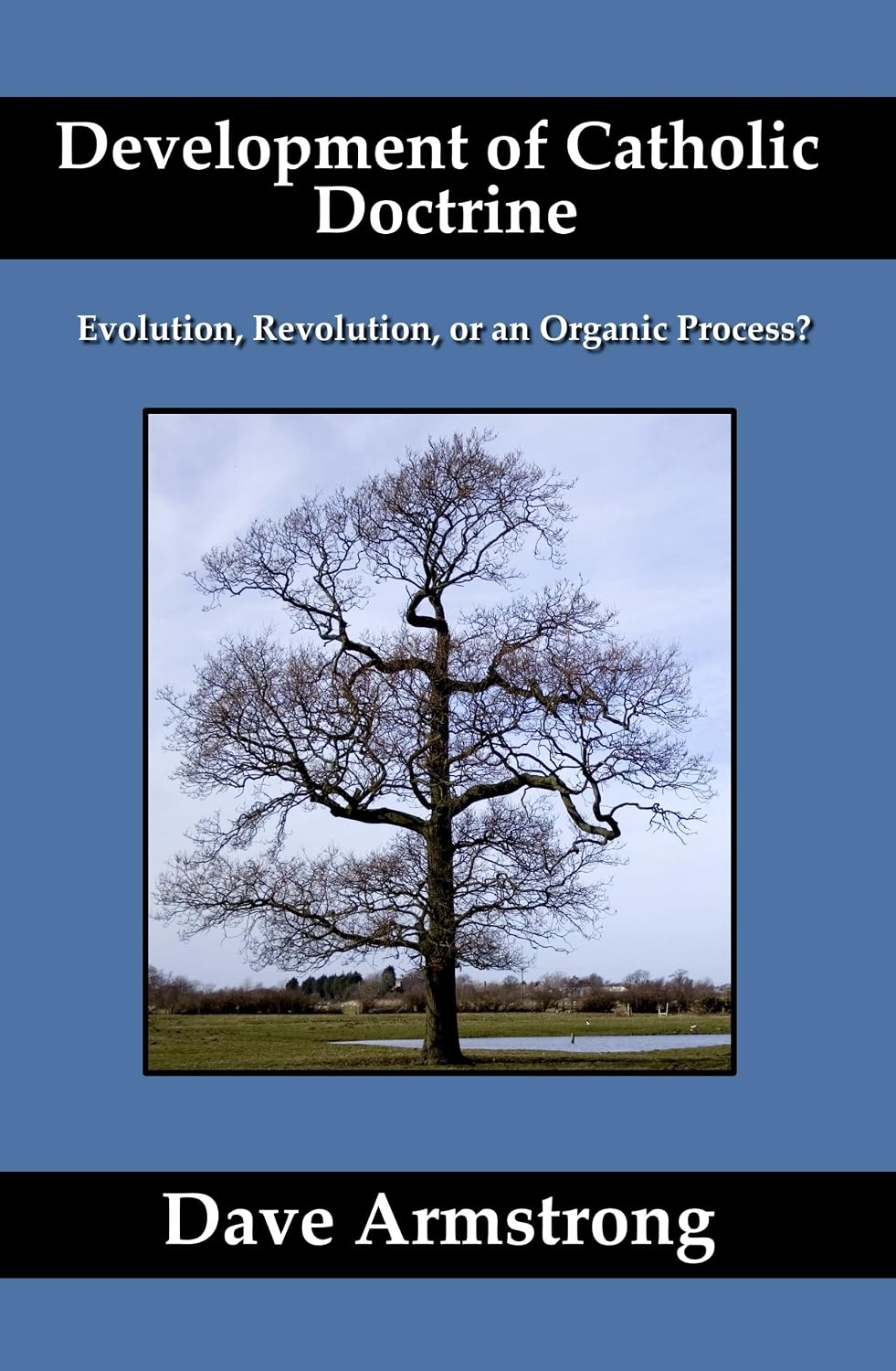 Development of Catholic Doctrine: Evolution, Revolution, or an Organic ...