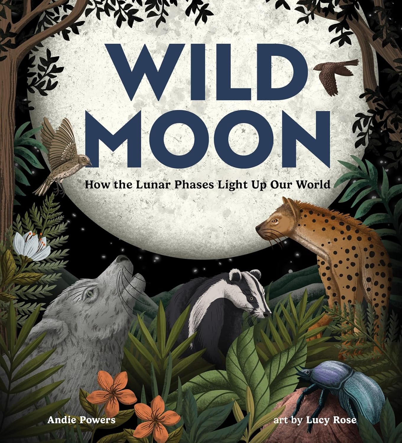 Wild Moon: How the Lunar Phases Light Up Our World: Powers, Andie, Rose ...