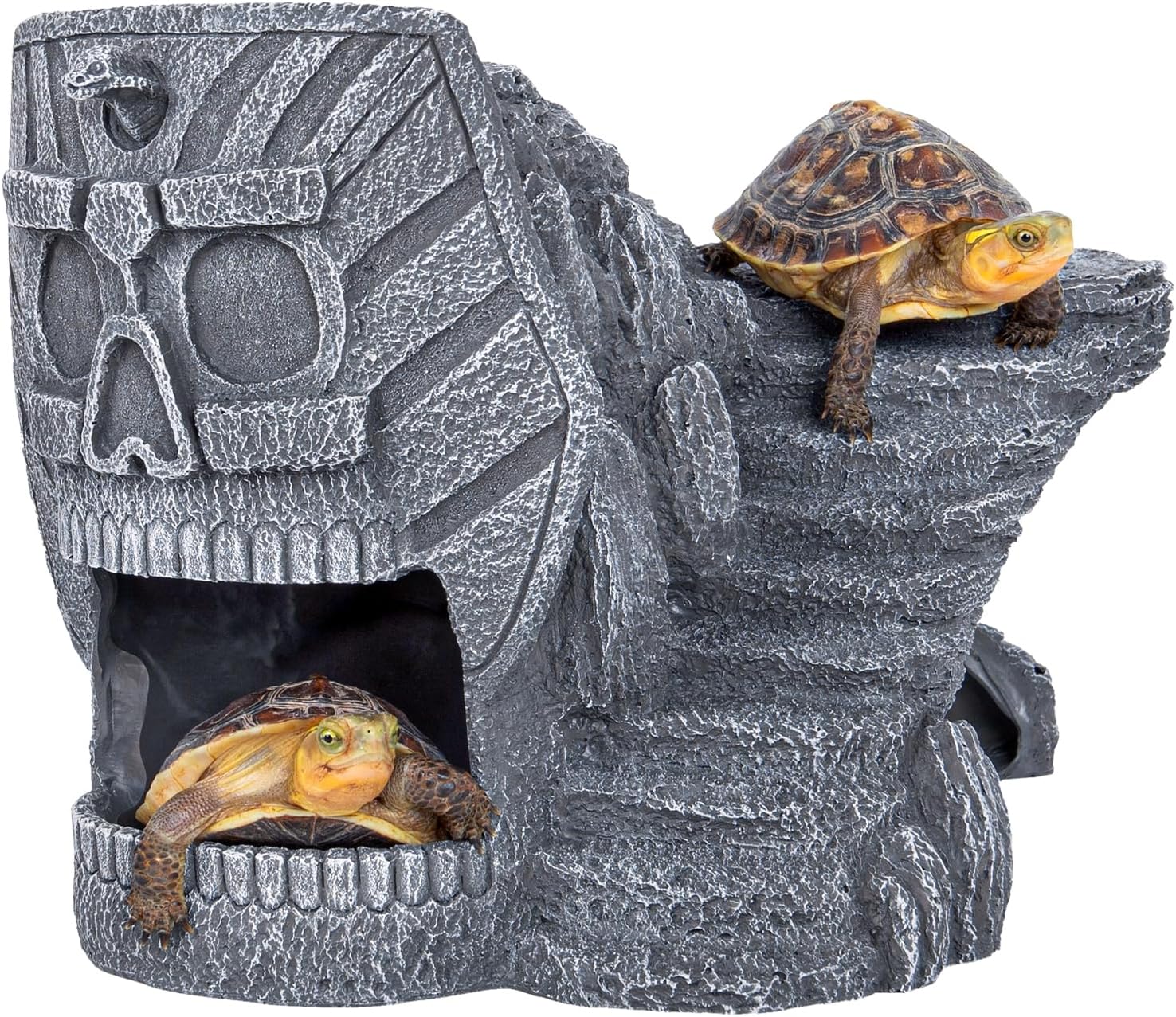 Amazon.com : REPTI ZOO Pharaoh Reptile Hide Cave, Reptile Hideout for ...