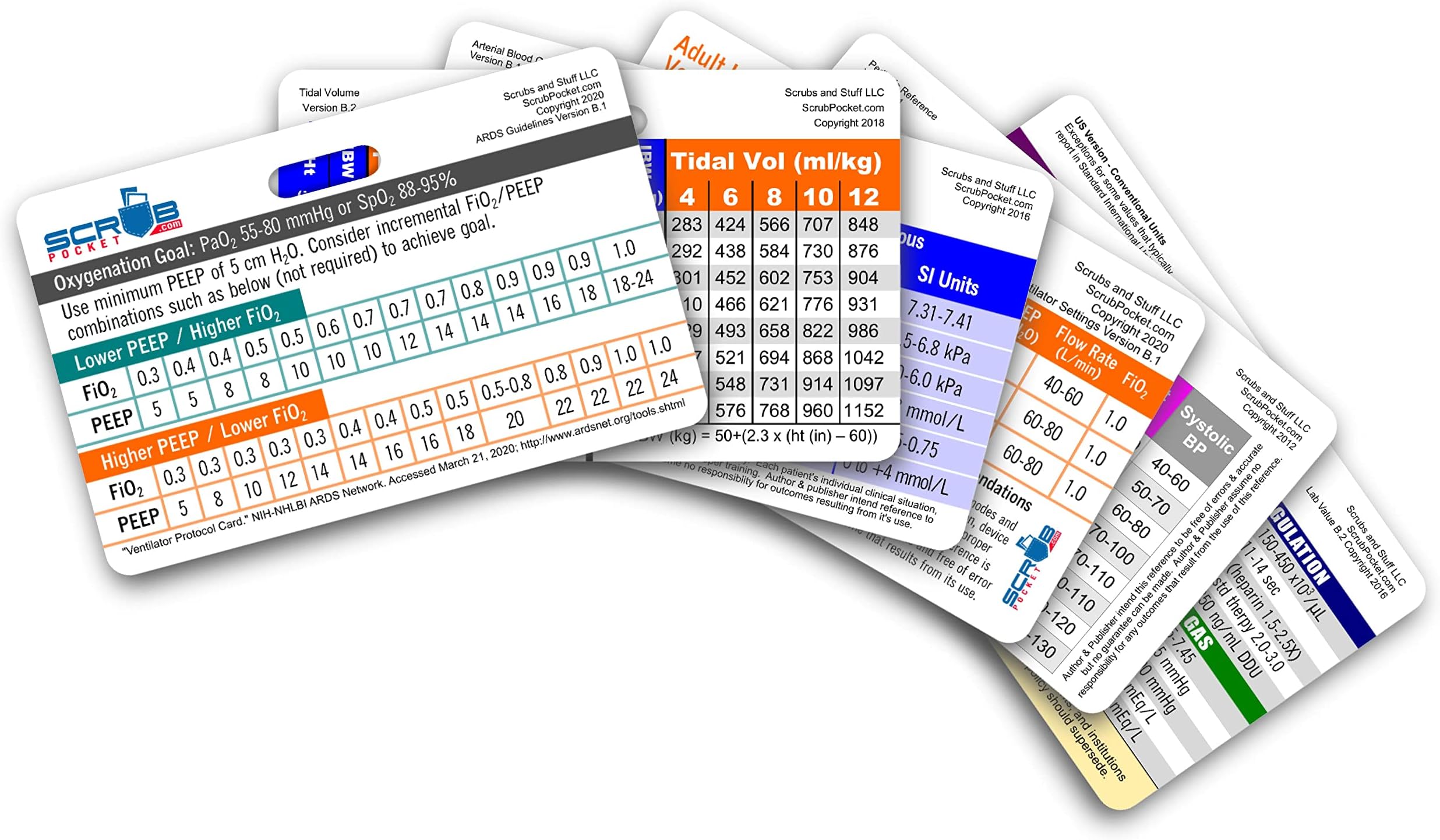 Amazon.com : Arterial Blood Gas (ABG) Horizontal Badge Card - Excellent ...