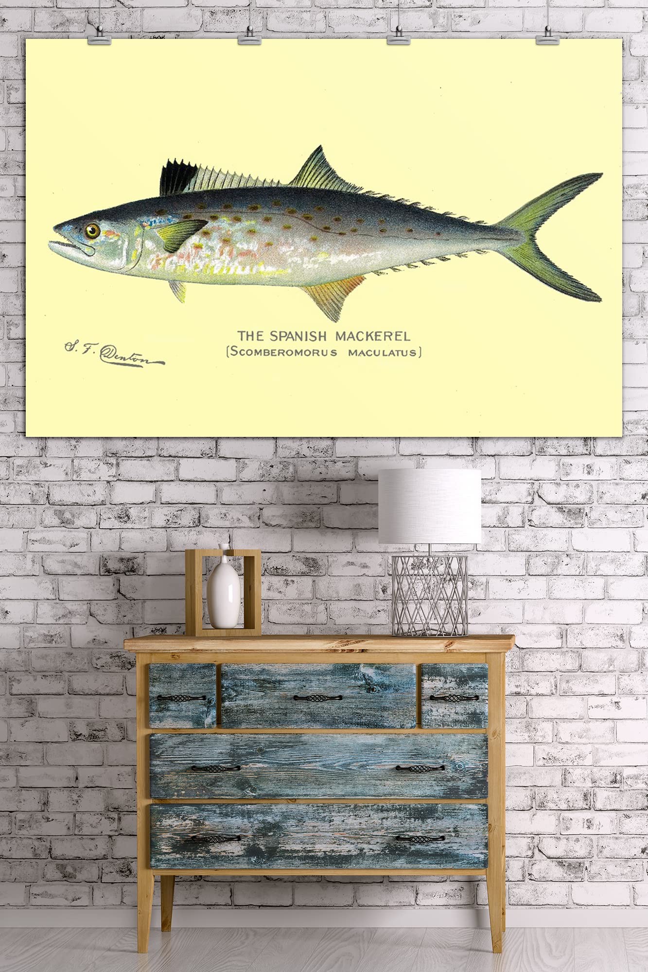 King Mackerel Paintings