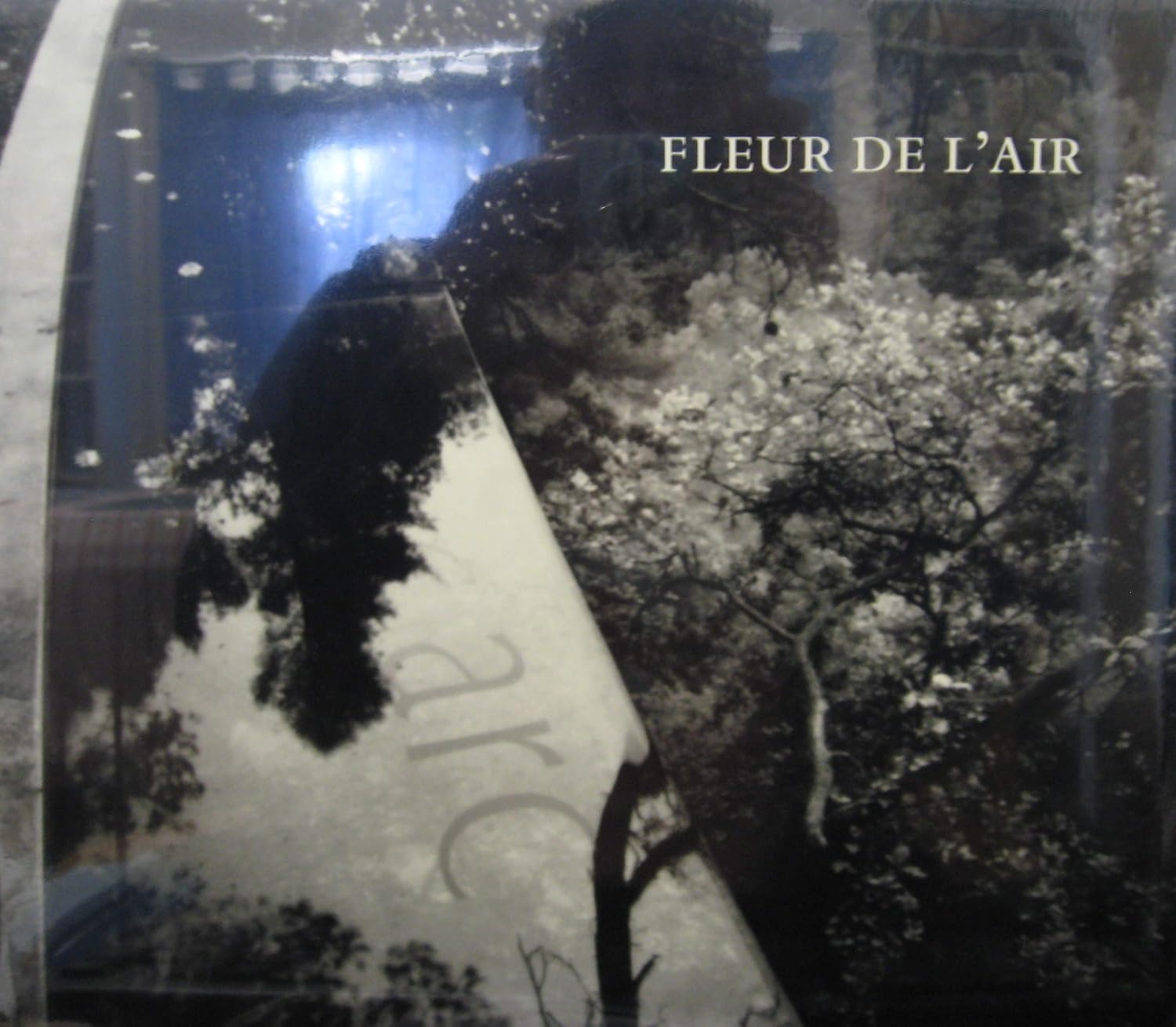 Fleur De L'air: A Garden in Provence by Ian,Hamilton Finlay : Simig ...