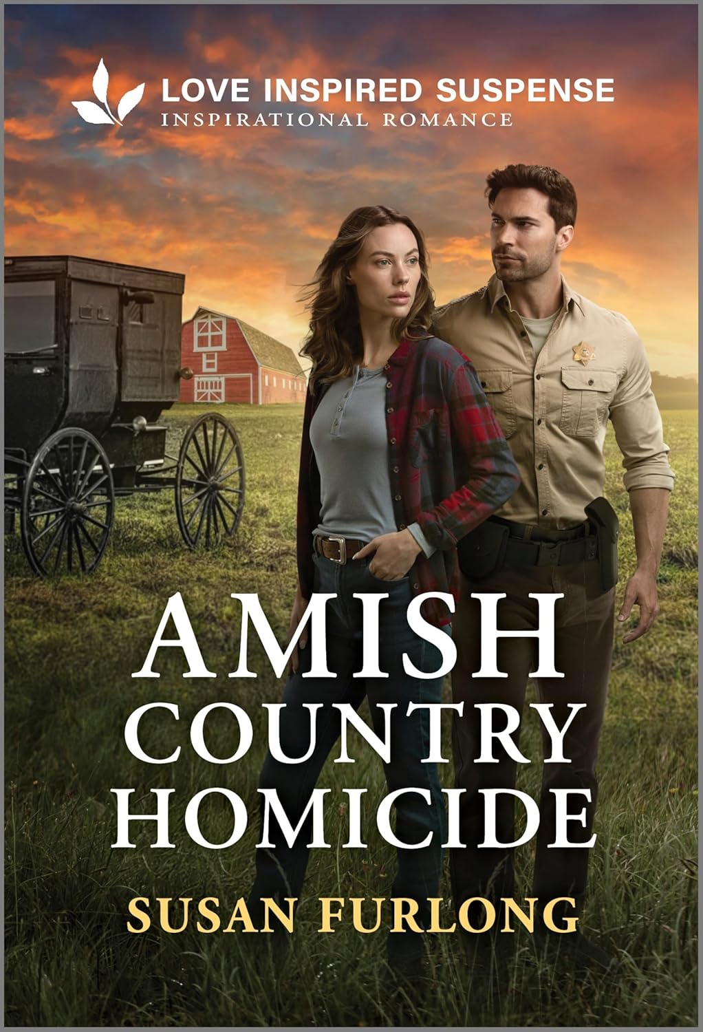 Amish Country Homicide - Kindle edition by Furlong, Susan. Religion ...
