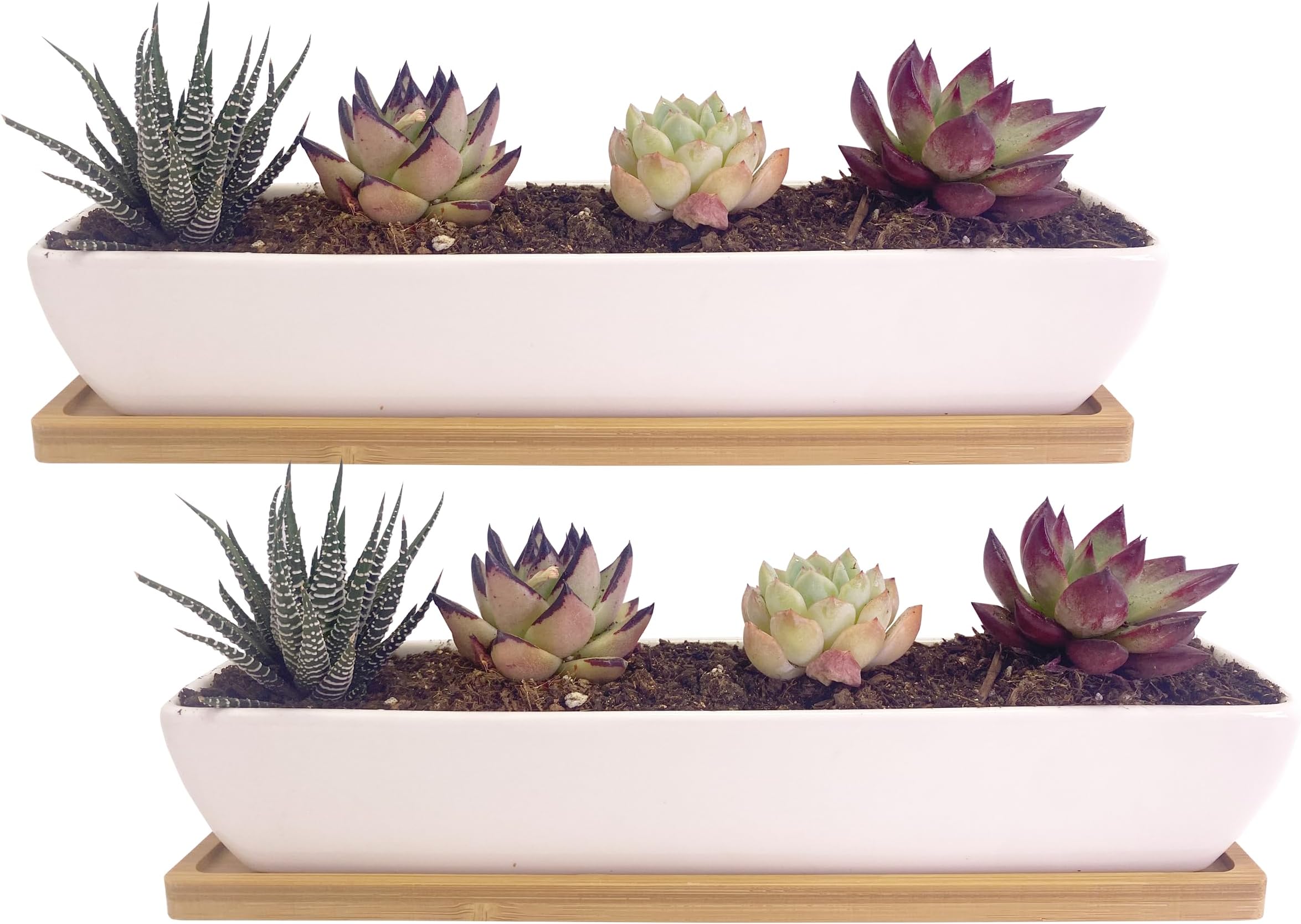 Amazon.com : WISH HALLY WOOD White Ceramic Succulent Planter Pots,2 Set ...