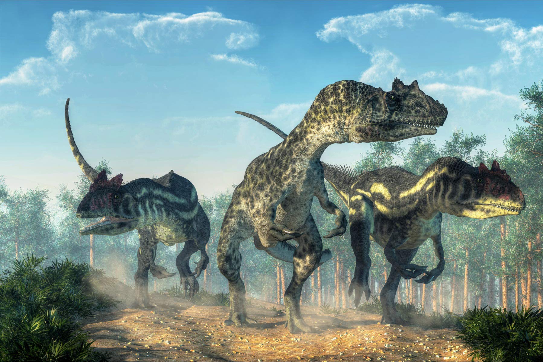 Dinosaur Environment Wallpaper