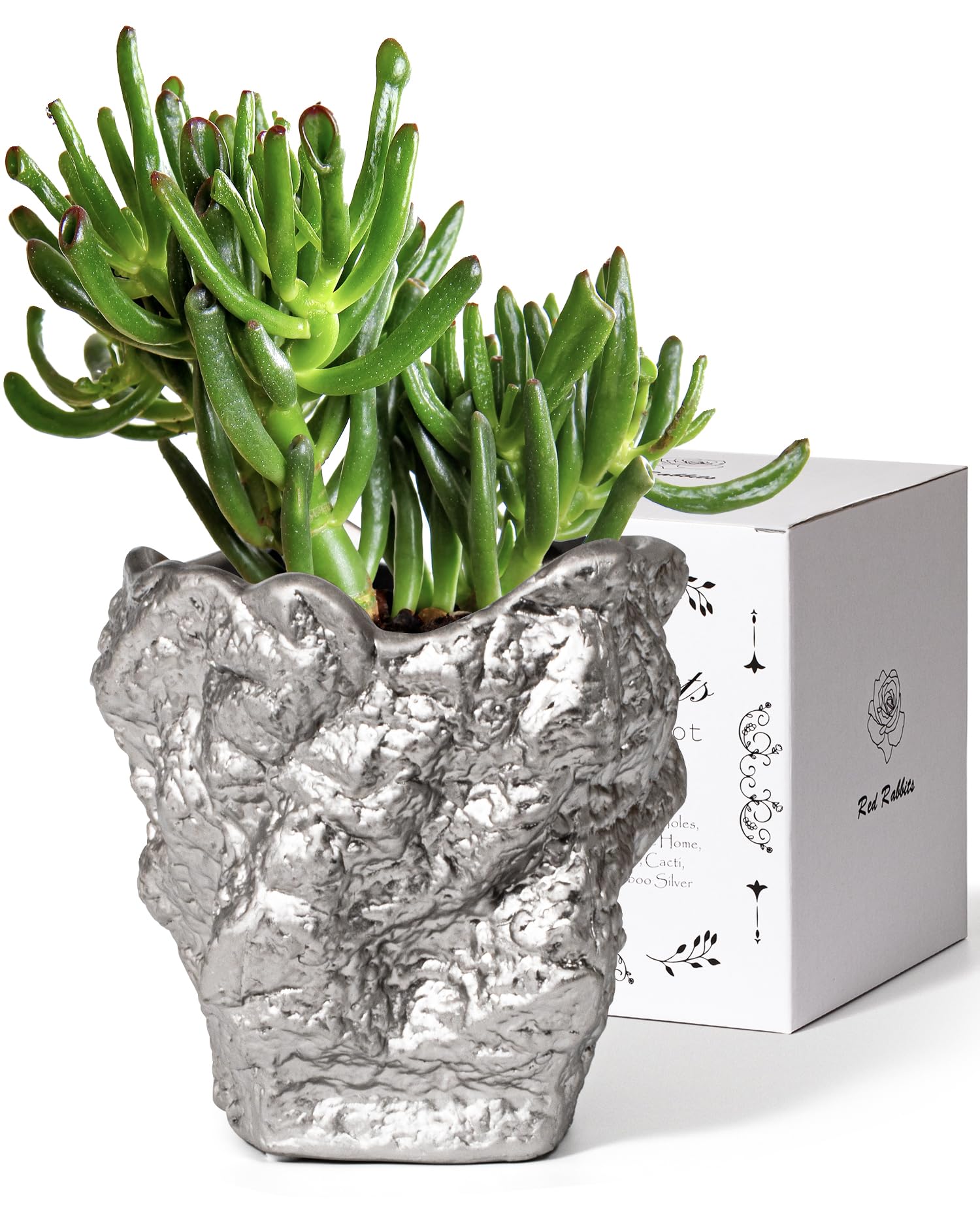 Amazon.com : Red Rabbits Ceramic Planter Pot 5 inch Indoor Plant Pot ...