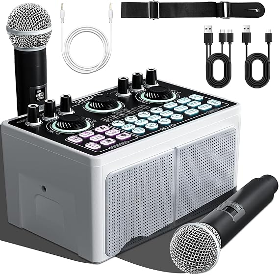 Amazon.com: SINWE Karaoke Machine, Audio Interface Bluetooth Speaker ...