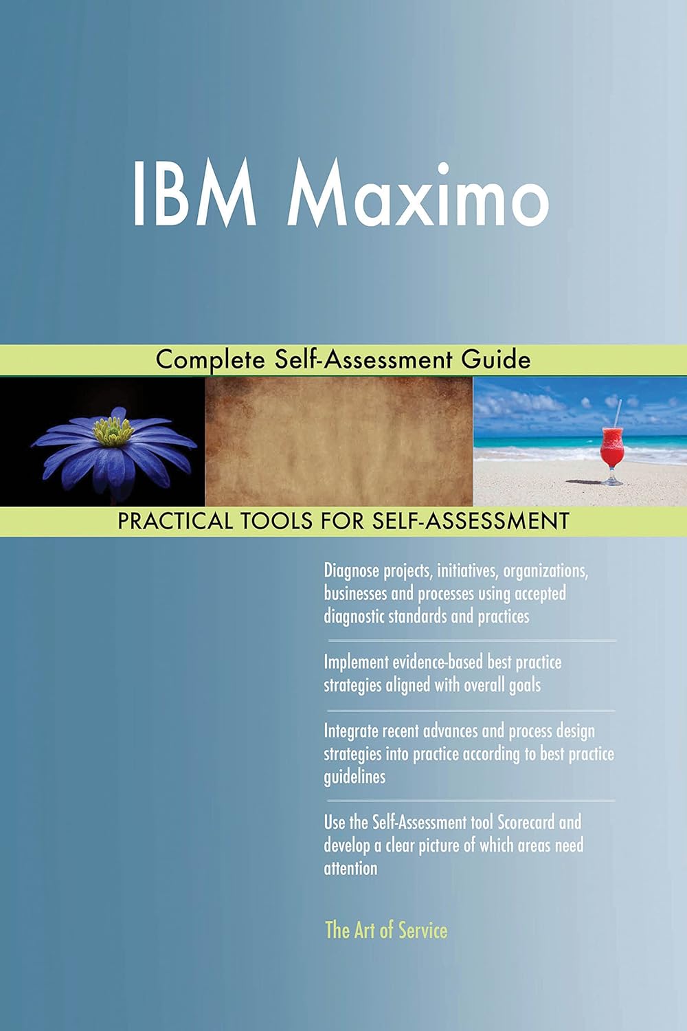 Amazon.com: IBM Maximo Complete Self-Assessment Guide eBook : Blokdyk ...