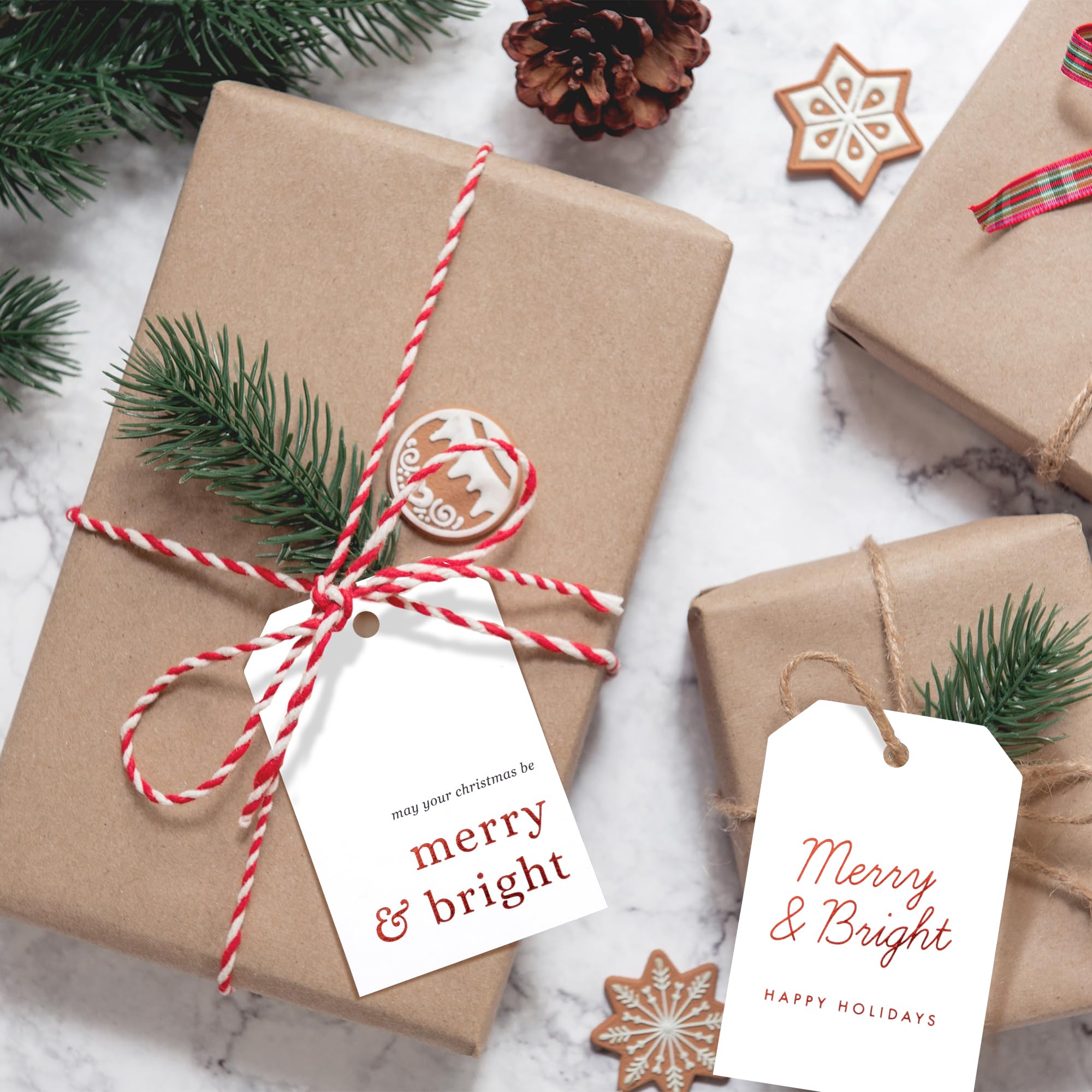 Snapklik.com : Beautiful Modern Christmas Gift Tags - 48 Quality Paper ...