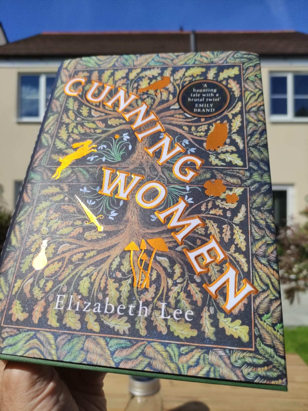 Cunning Women: A feminist tale of forbidden love after the witch trials ...