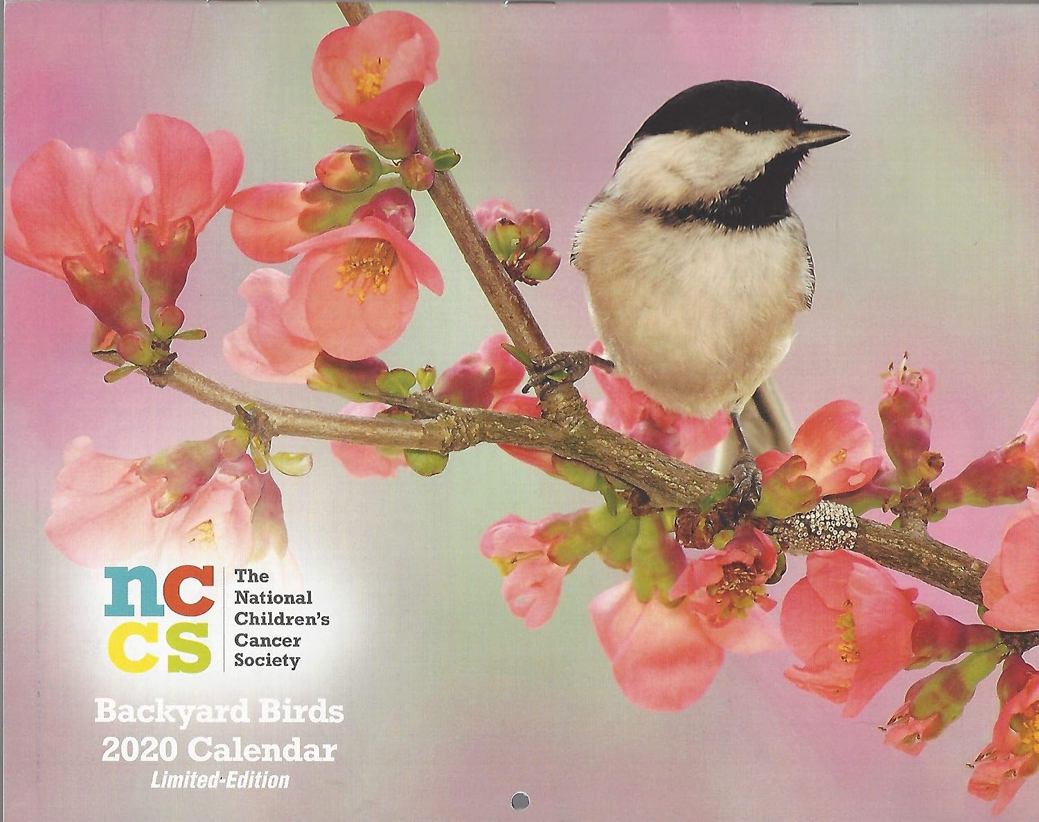 Backyard Birds 2020 Calendar Limited-Edition: Various: Amazon.com: Books