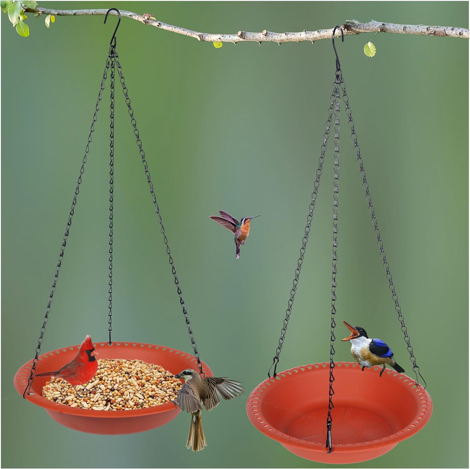 Amazon.com : Hanging Bird Feeder, 2 Pack Bird Feeder Tray 12 inch, Bird ...
